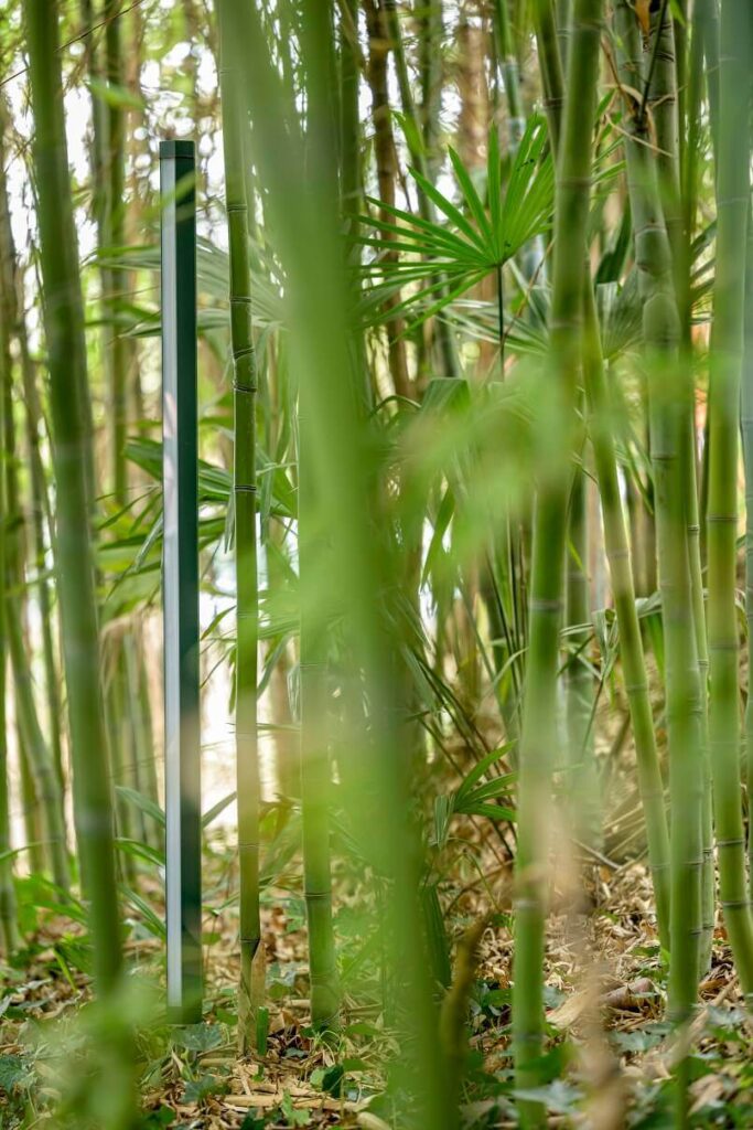 4 Outdoor Lighting Ideas Inspired by the Color of Green Forest | Archi ...